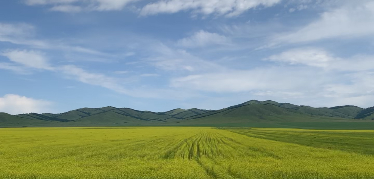 ЦУОШГ Наймдугаар сарын цаг агаарын урьдчилсан төлөв Humanz